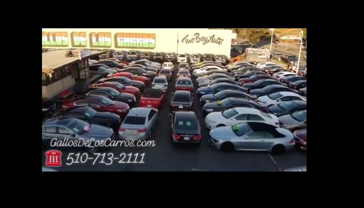 INICIO | The Bay Auto Gallos De Los Carros LLC